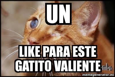 Meme Personalizado - un like para este gatito valiente - 2751409