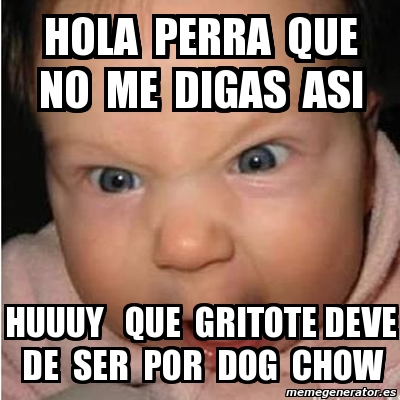 Meme Bebe furioso - hola perra que no me digas asi huuuy que gritote ...