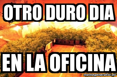 Meme Personalizado - otro duro dia en la oficina - 2789492