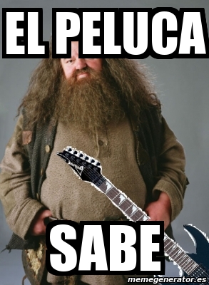 Meme Personalizado - El peluca sabe - 2792443