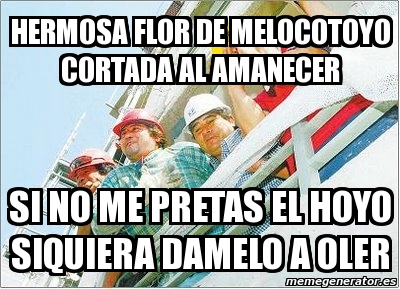 Meme Personalizado - hermosa flor de melocotoyo cortada al amanecer si ...