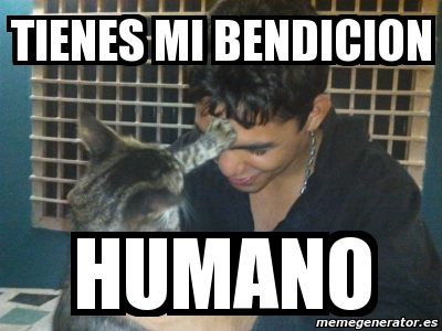Meme Personalizado - tienes mi bendicion humano - 2081626