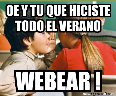 Meme Personalizado - Oe y tu que hiciste todo el verano Webear ! - 2805432