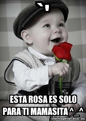 Meme Personalizado - `' ESTA ROSA ES SOLO PARA TI MAMASITA ^_^ - 2805843