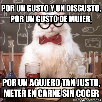 Meme Chemistry Cat - Por un gusto y un disgusto, por un gusto de mujer ...
