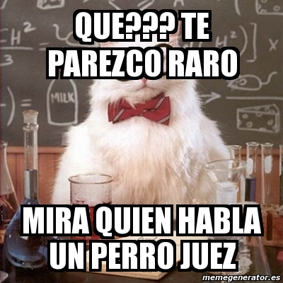 Meme Chemistry Cat - QUE??? TE PAREZCO RARO mira quien habla un perro ...