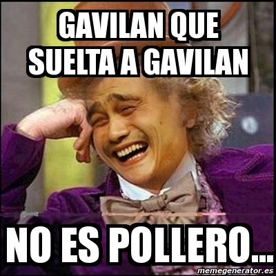 Meme Yao Wonka - gavilan que suelta a gavilan no es pollero... - 2827083
