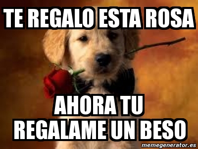 Memes Una Rosa Para Ti
