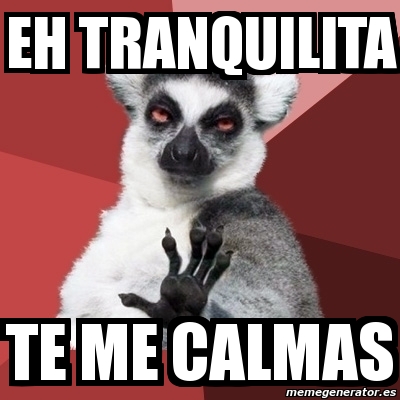 Meme Chill Out Lemur - EH TRANQUILITA TE ME CALMAS - 2857129