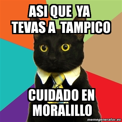 Meme Business Cat - asi que ya tevas a tampico cuidado en moralillo ...