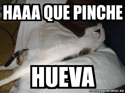 Meme Personalizado - haaa que pinche hueva - 2913454