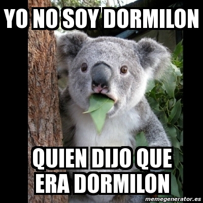 Meme Koala - yo no soy dormilon quien dijo que era dormilon - 2936614