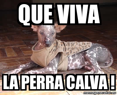 Meme Personalizado - Que viva la perra calva ! - 2962041
