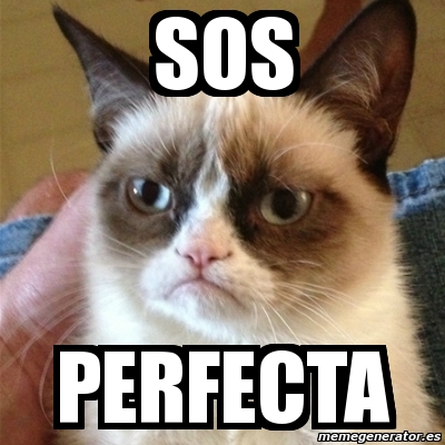 Meme Grumpy Cat - SOs perfecta - 2970736