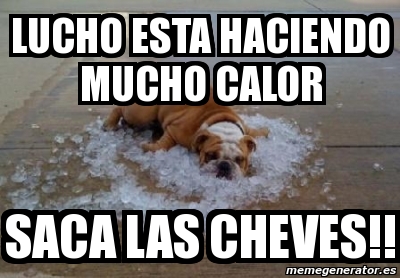 Meme Personalizado - lucho esta haciendo mucho calor saca las cheves ...