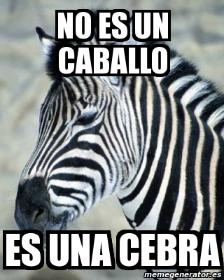 Transespecie acusa discriminación porque no la recibieron en refugio de ...