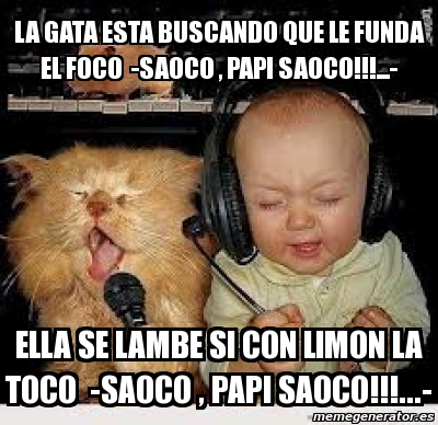 Meme Personalizado - La gata esta buscando que le funda el foco -Saoco ...