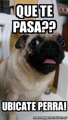 Meme Personalizado - Que te pasa?? Ubicate perra! - 20014244