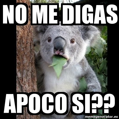 Meme Koala - No me digas Apoco si?? - 20123836