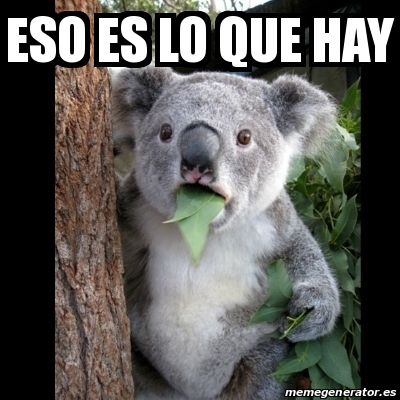 Meme Koala - Eso es lo que hay - 20163860