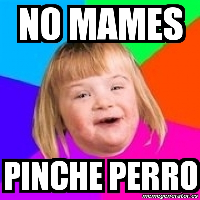 Meme Retard Girl - No mames Pinche perro - 20166138