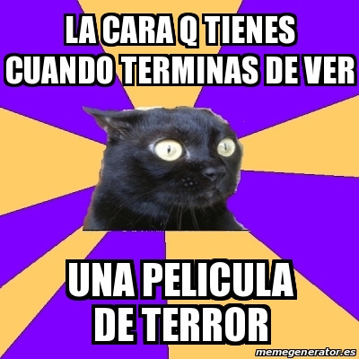 Meme Anxiety Cat - la cara q tienes cuando terminas de ver una pelicula ...