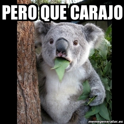 Meme Koala - pero que carajo - 20205175