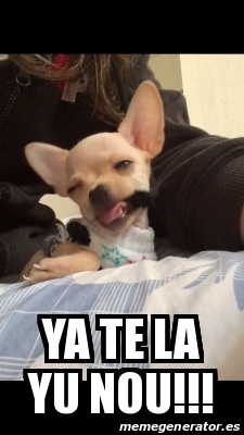 Meme Personalizado - Ya te la yu nou!!! - 20230108