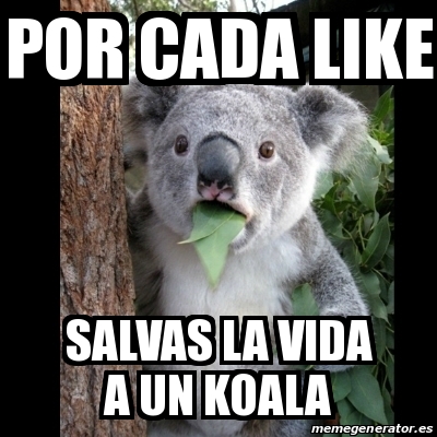 Meme Koala - por cada like salvas la vida a un koala - 20230441