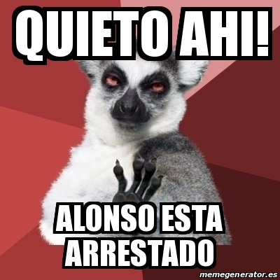 Meme Chill Out Lemur - QUIETO AHI! ALONSO ESTA ARRESTADO - 20244601