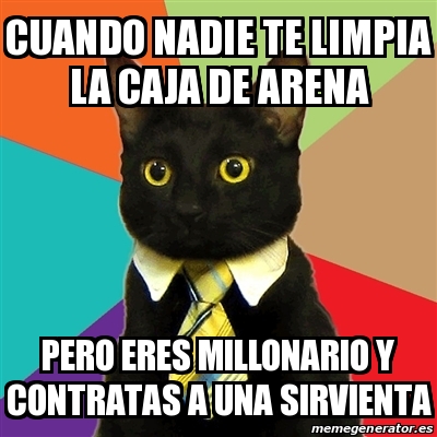 Meme Business Cat - Cuando nadie te limpia la caja de arena Pero eres ...