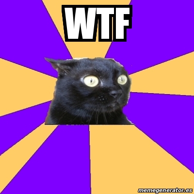 Meme Anxiety Cat - WTF - 20281937