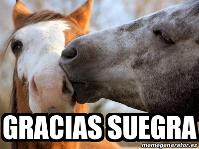 Meme Personalizado - gracias suegra - 20294617