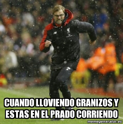 Meme Personalizado - cuando lloviendo granizos y estas en el prado ...