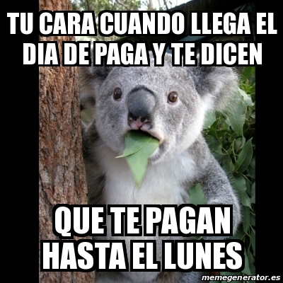 Meme Koala - TU CARA CUANDO LLEGA EL DIA DE PAGA Y TE DICEN QUE TE ...