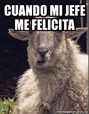 Meme Personalizado - CUANDO MI JEFE ME FELICITA - 20381309