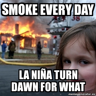 Meme Disaster Girl - smoke every day la niÃ±a turn dawn for what - 20382638