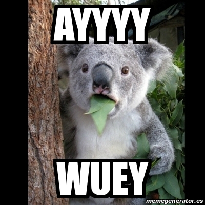 Meme Koala - ayyyy wuey - 20437753