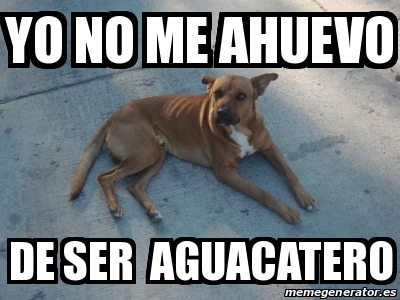 Meme Personalizado - YO NO ME AHUEVO DE SER AGUACATERO - 20438120