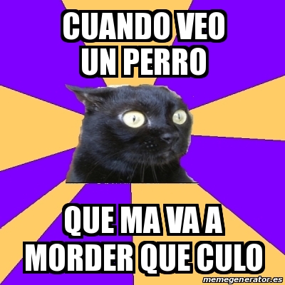 Meme Anxiety Cat - cuando veo un perro que ma va a morder que culo ...