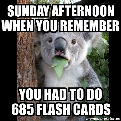 Meme Koala - Sunday afternoon when you remember You had to do 685 flash ...