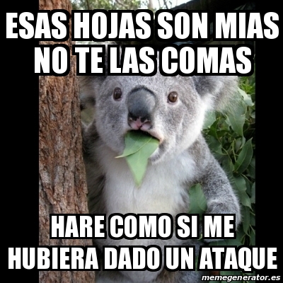 Meme Koala - Esas hojas son mias no te las comas hare como si me ...
