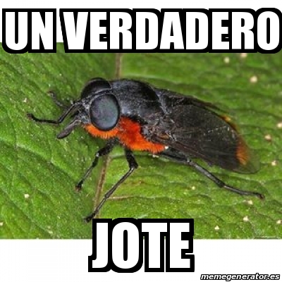 Meme Personalizado - un verdadero jote - 20471879