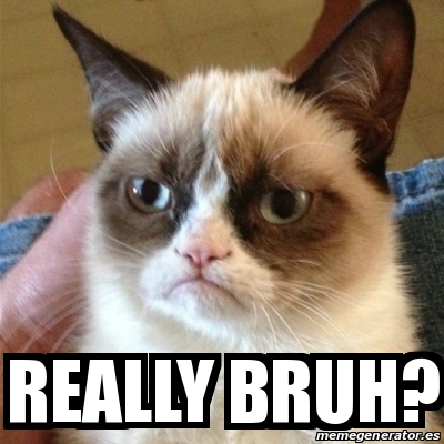 Meme Grumpy Cat - Really Bruh? - 20491729