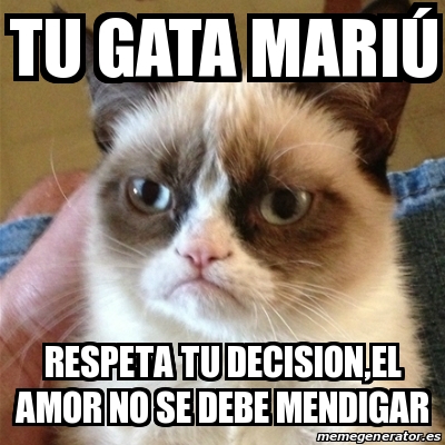 Meme Grumpy Cat - Tu gata mariÃº Respeta tu decision,el amor no se debe ...