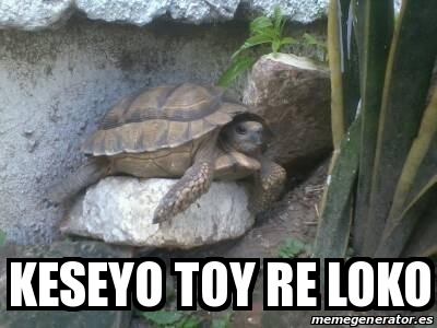 Meme Personalizado - Keseyo toy re loko - 20057989