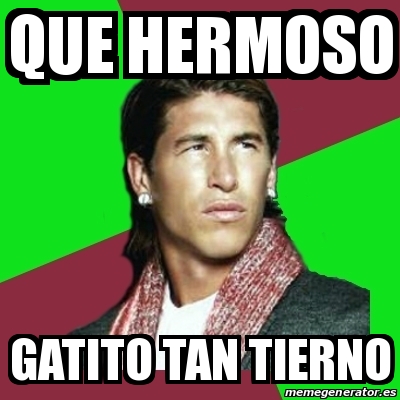 Meme Sergio Ramos - que hermoso gatito tan tierno - 20506100