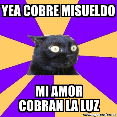 Meme Anxiety Cat - Yea cobre misueldo Mi amor cobran la luz - 20520799