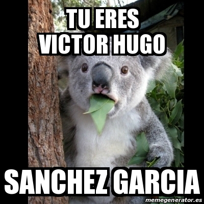 Meme Koala - tu eres victor hugo sanchez garcia - 20544793