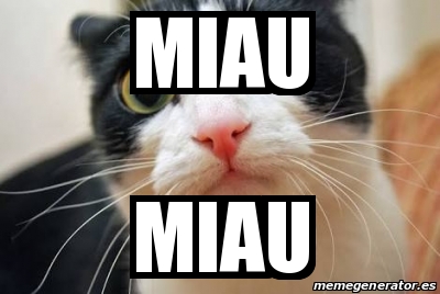Meme Personalizado - Miau Miau - 20547432
